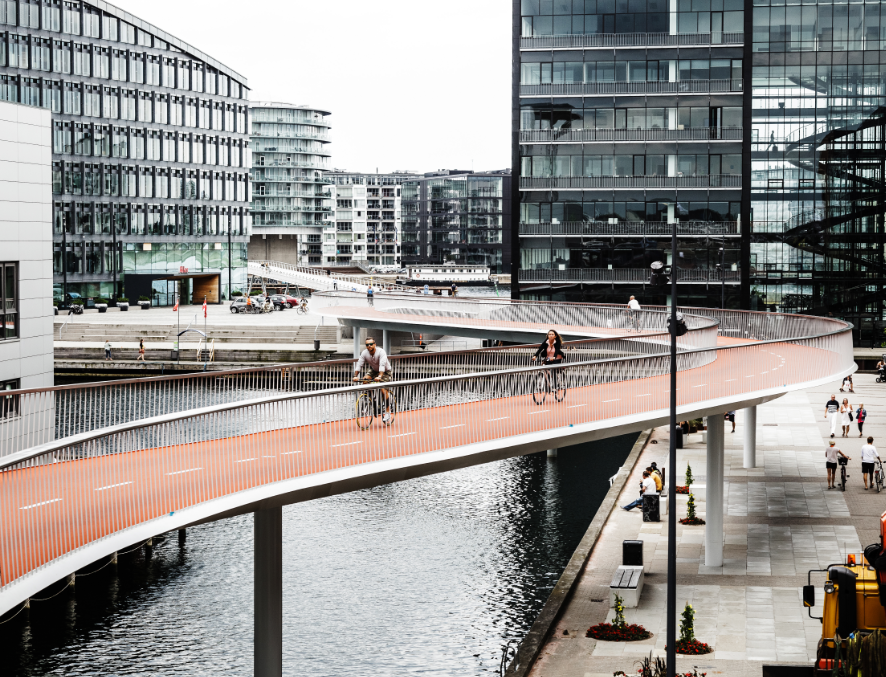 The Bicycle Snake|Site-Install