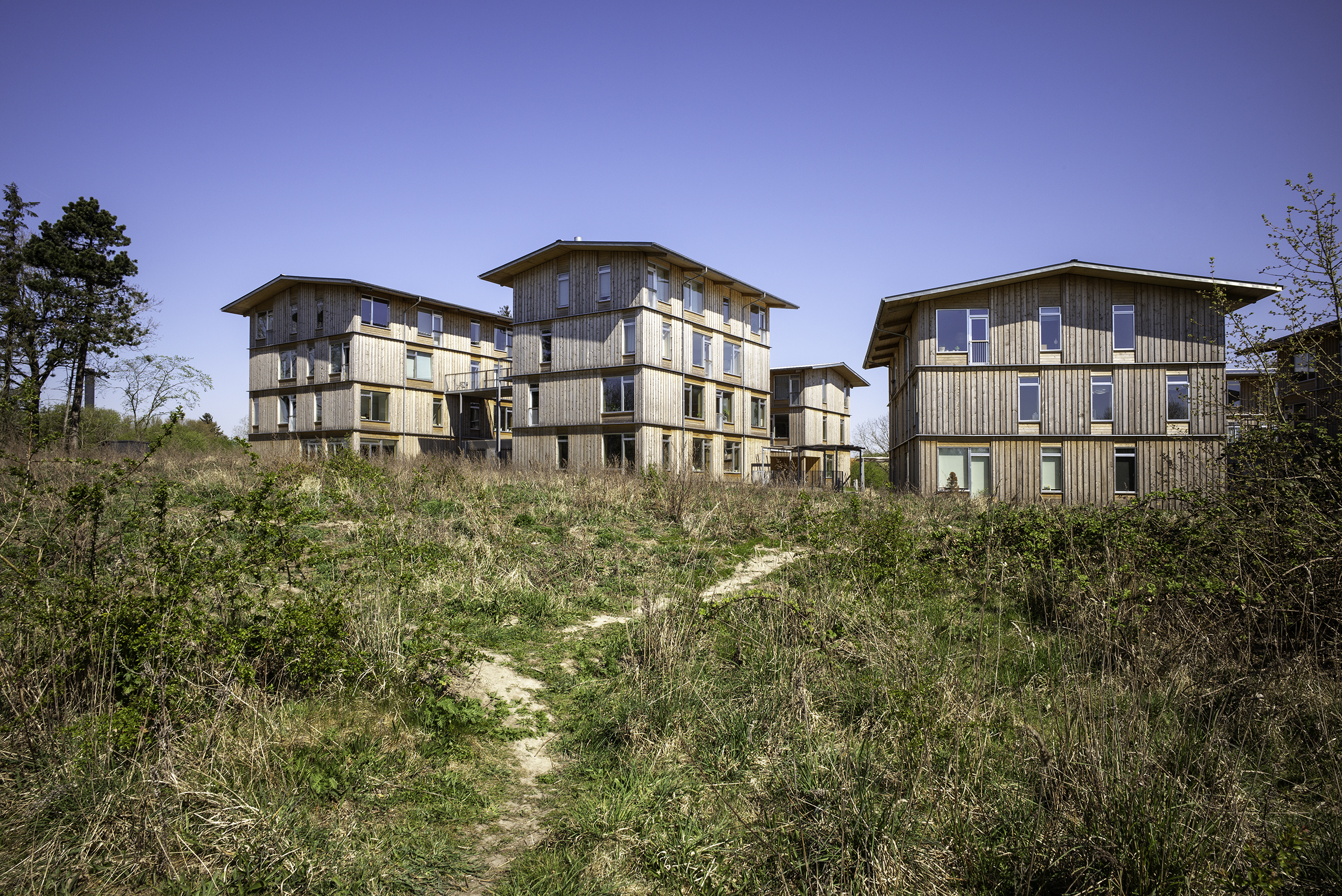 Housing on Lisbjerg Hill|Site-Install